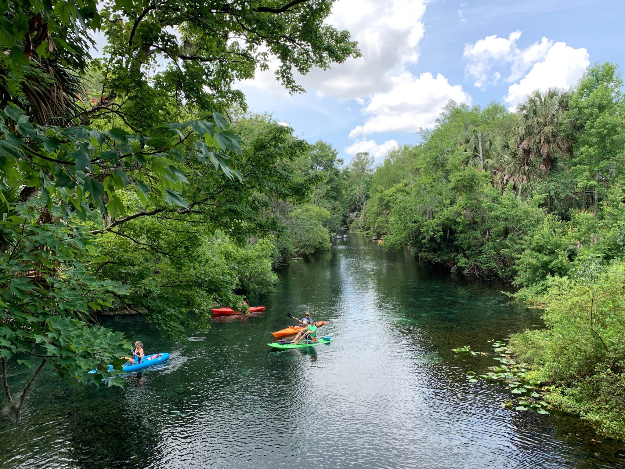 Florida Kayak Company – Kayaking and Paddling in Florida